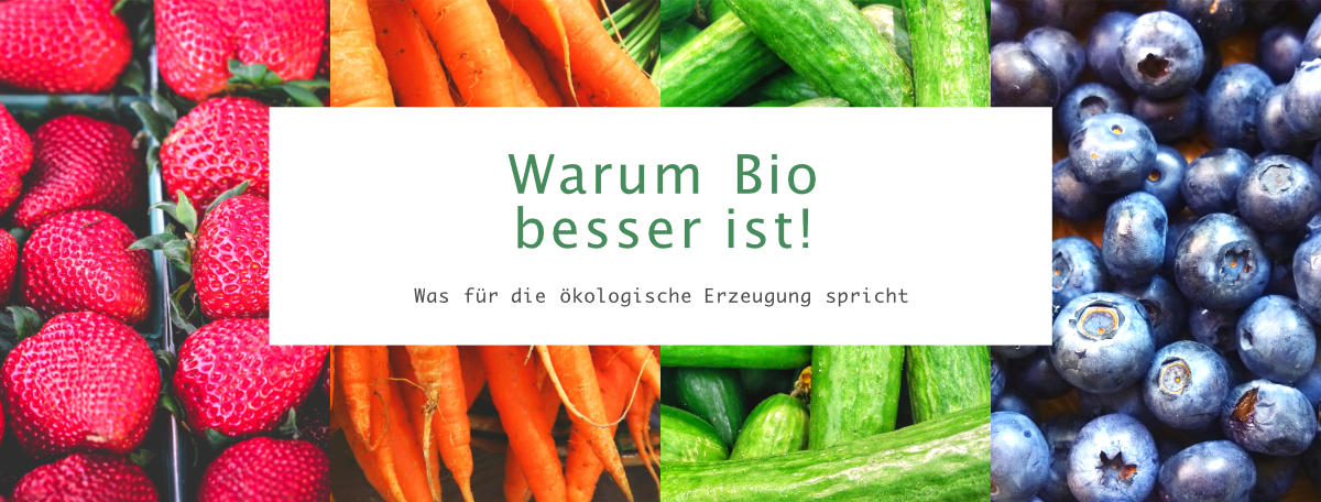 Warum Bio besser ist